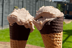 Chestnut Vegan Ice Cream - Porter Foods